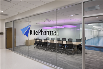 Baystreet.ca - Kite Pharma (KITE) Gains on Presentations