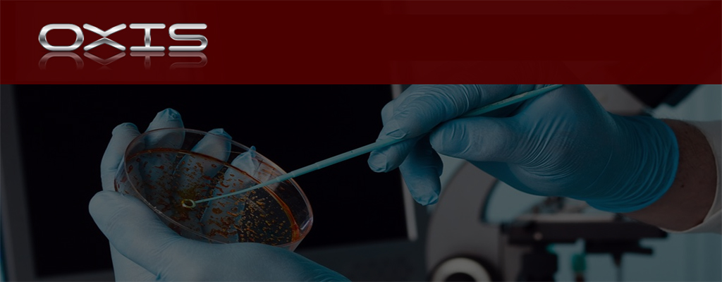 Baystreet.ca - Biotech Exec Took A Company From $2 to $14, Before ...